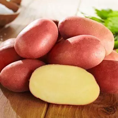 Kogu informatsioon fütoophluoroos kartulid 
