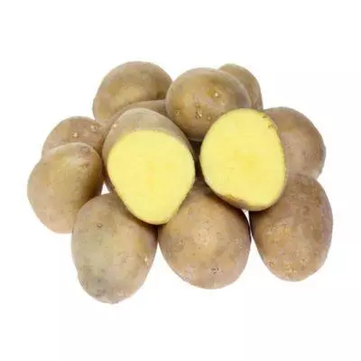 Цялата информация за фитофлуорозата на картофите от 