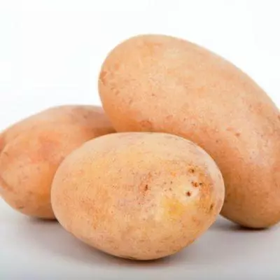 All information om fytoophluorosen av potatis från 