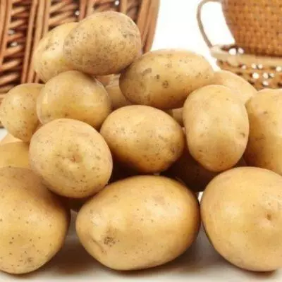 All information om fytoophluorosen av potatis från 
