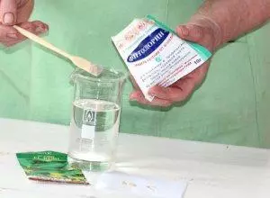 Alle Geheimnisse der Vorbereitung von Gurken-Samen zu Sämlingen: So sortieren und verwerfen, Desinfektion, Keimung und Abschreckung 1307_4
