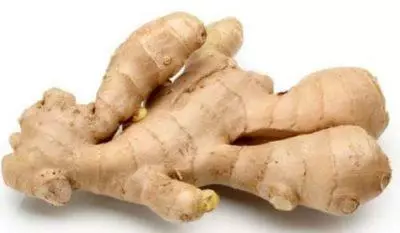 What is the difference between ginger and horseradish? Description of plants and their comparison