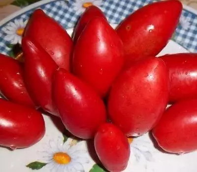 Gracia kaj bongusta tomato "supermodelo": priskribo de la vario, fotoj