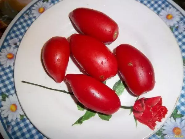 Anmutige und leckere Tomaten 