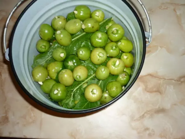 Jak vařit Sauer Zelená rajčata s česnekem a zelení v pánvi nebo v kbelíku? Nejlepší recepty