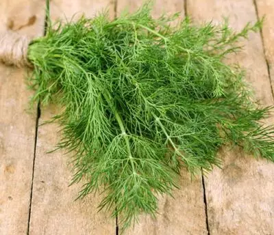 How is the dill and its kidney seeds? How to brew a plant and how to apply?