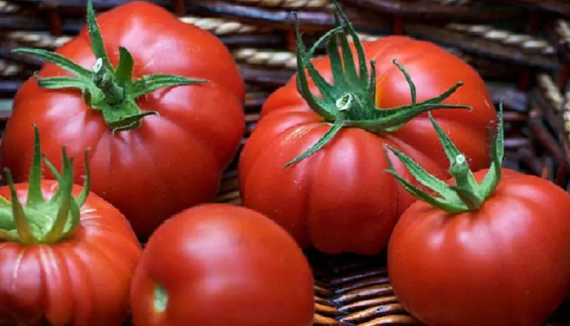 Im Detail, wie man große Tomaten wächst. Sie müssen nur wissen, dass Sie eine Vielfalt zur Pflege von Gemüse wählen müssen