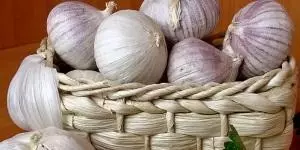 Ways of successful storage of winter garlic at home