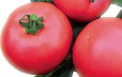 Süße Tomaten in der rosa Lady Pink - Beschreibung und Merkmale des F1-Hybrids