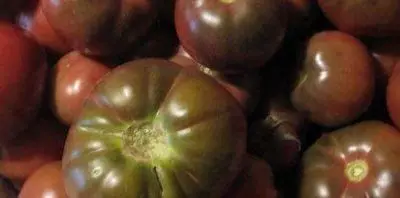 Dominopling Tomato "Paul Robson" - secrete în creștere, descriere