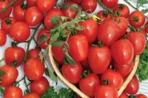 Und keine Beere überhaupt, aber Tomate! Vor- und Nachteile der Tomatenvielfalt "Cherry Strawberry" F1