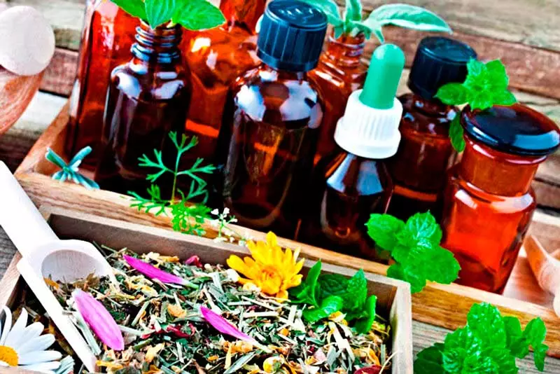 5 low-cost drugs from the pharmacy for the garden