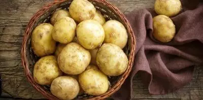 Strong and delicious variety of potatoes "Borovac": a description of the variety, characteristic, photo